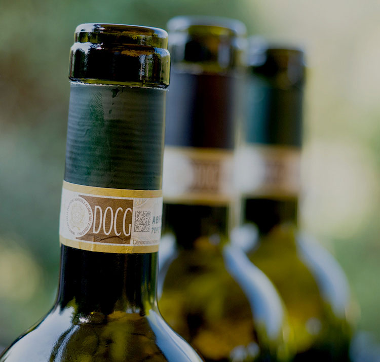 月刊DOCG - イタリア最高の産地をめぐるワイン付きマガジン｜Vino Hayashi（ヴィーノハヤシ）